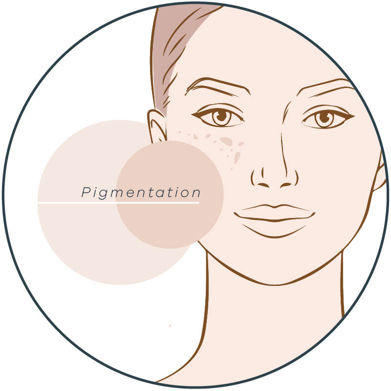 Skin Pigmentation: The Definitive Guide - Anue